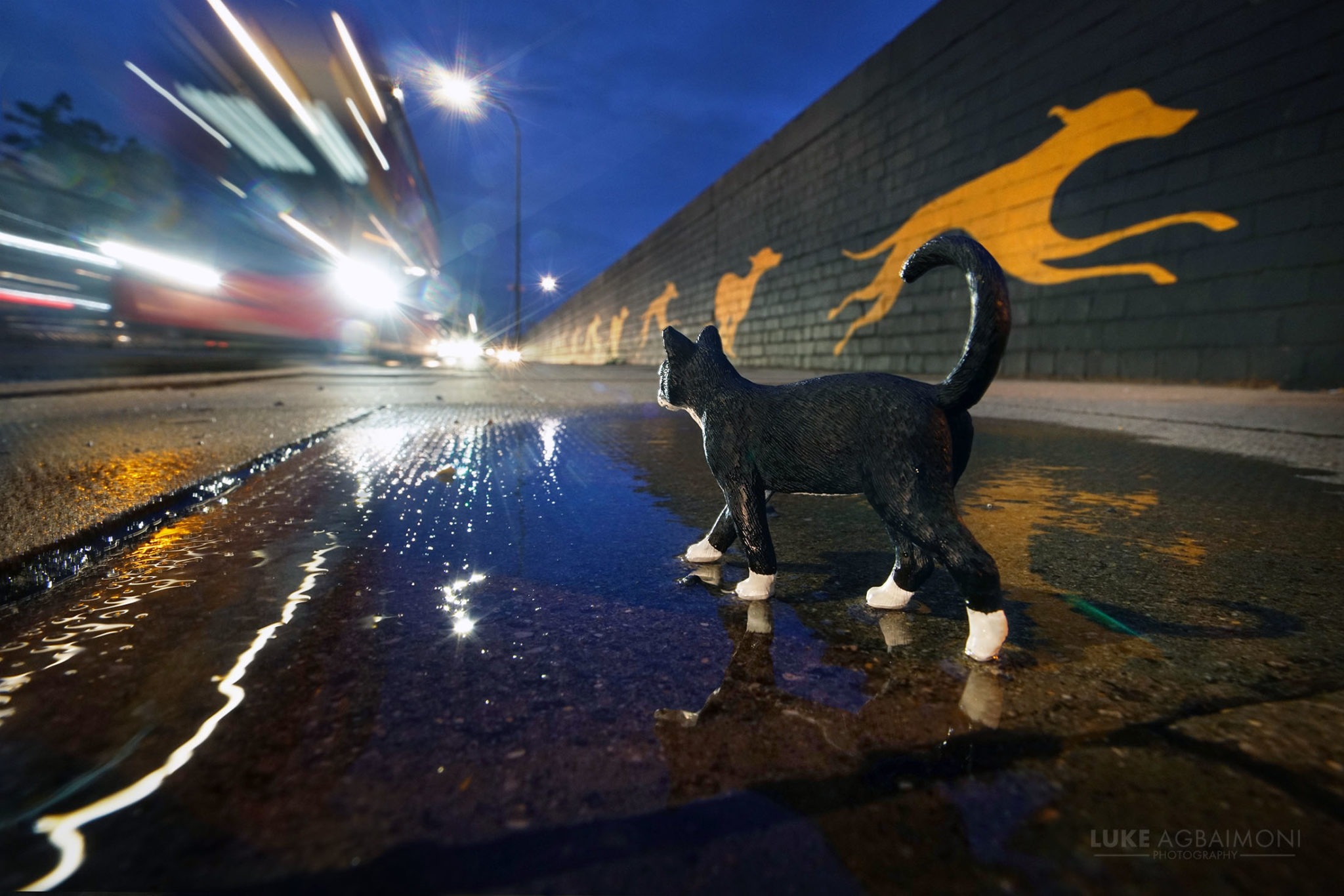 Catford Bridge Station - London Photography - Tubemapper